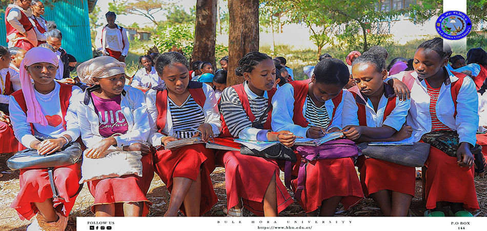 Bule Hora University